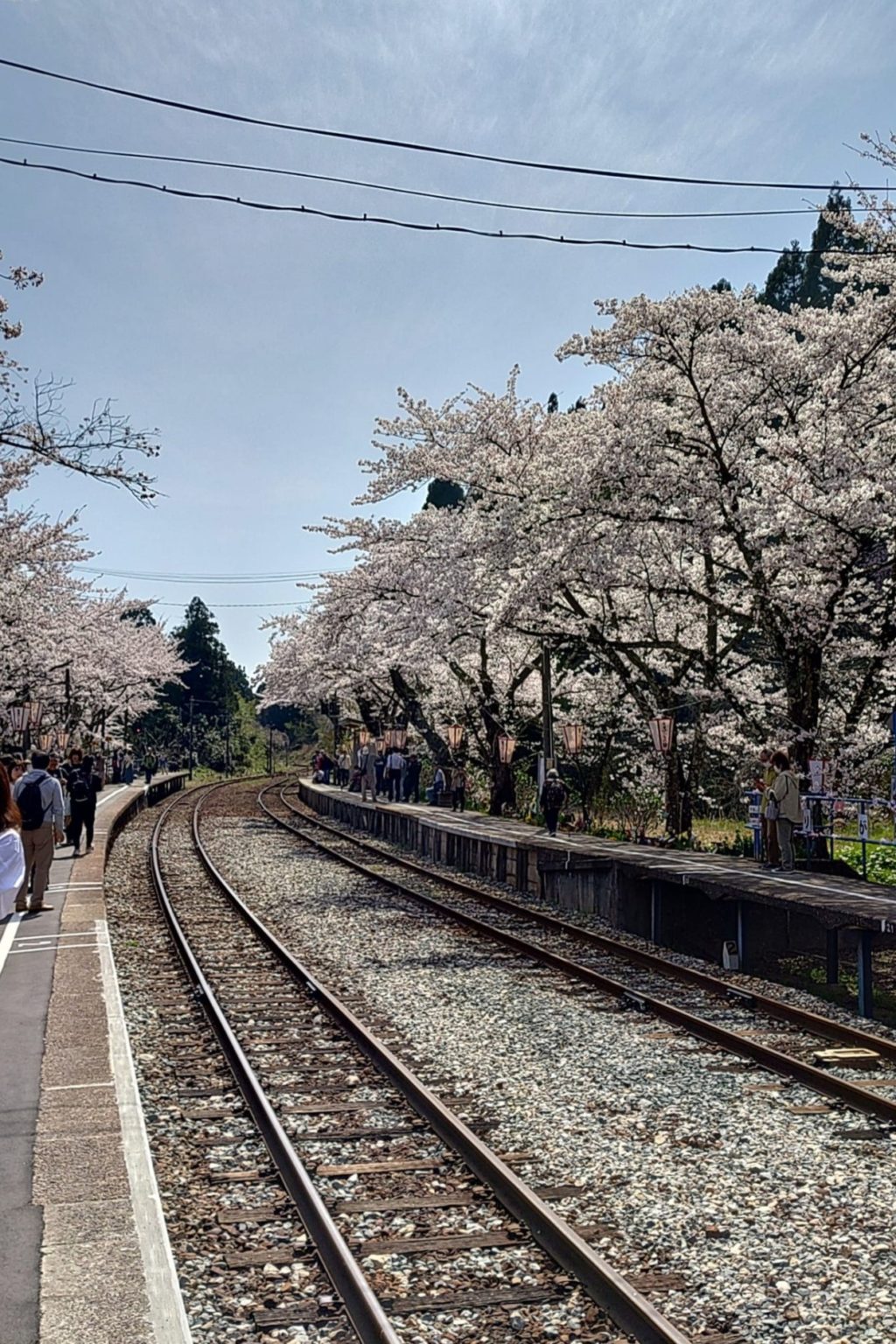 P-CFO 畑 憲司さん | 一般社団法人日本パートナーCFO協会